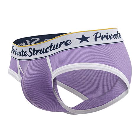 Private Structure Scus4529 Classic Mid Waist Mini Briefs Color Purple