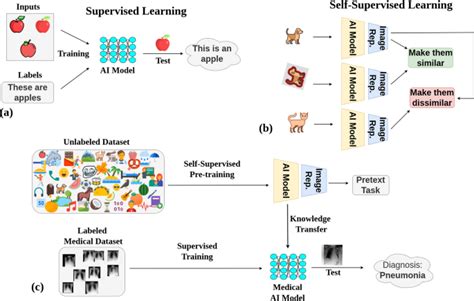 enhancing diagnostic deep learning via self supervised pretraining on