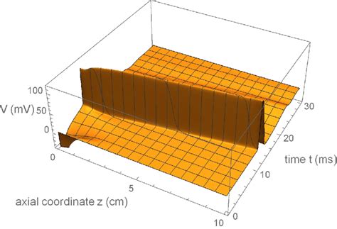 An Action Potential With A Significant Latency Is Predicted By Our