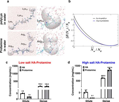 Dehydration Free Energy Calculation From Indus And Polymer