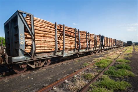 Train Lumber Wood Cargo Stock Image Colourbox