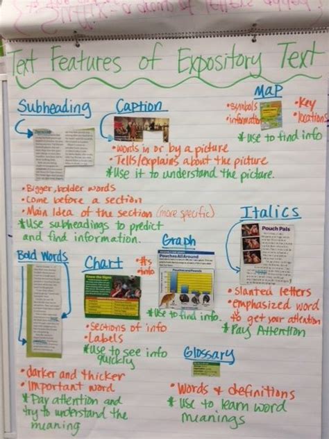 Expository Text Anchor Chart For Literature Lessons
