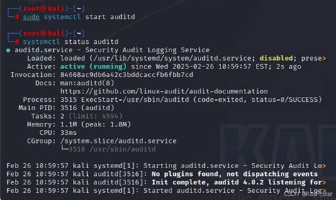 学习linux审计守护工具之auditd auditd服务 csdn博客