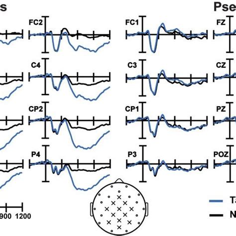 Grand Average Erp Waveforms For Target Like Blue And Nontarget Like