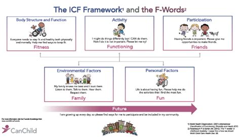 A Visual Representation Of The Icf Framework And The F Words