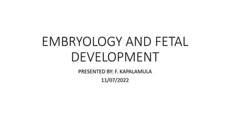 Human Embryonic Development Ppt Infertility Reproductive Health