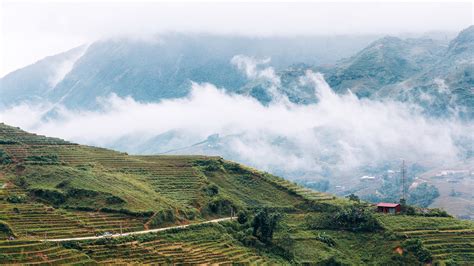 Landscapes By Daniel Koh 谷德设计网