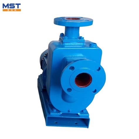 Self Priming Pump China Horizontal Slurry Pump Submersible Slurry Pump