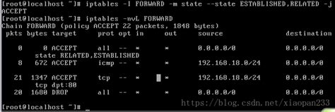 iptables实现网络中的防火墙 iptables实现虚拟网络互联 csdn博客
