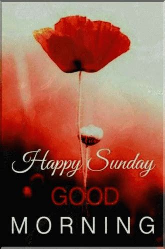 Happy Sunday S