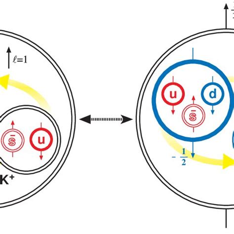 K N And The Diquark Triquark Configuration Of The Uudd¯ S Pentaquark