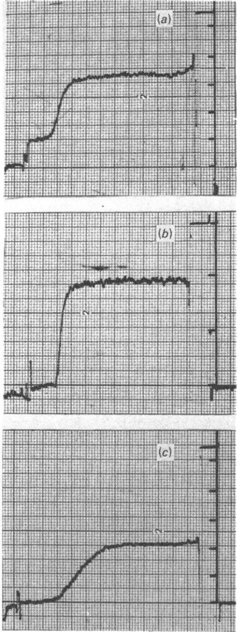 Demonstration Of Complement Subcomponent Clq Binding To Dimeric Download Scientific Diagram