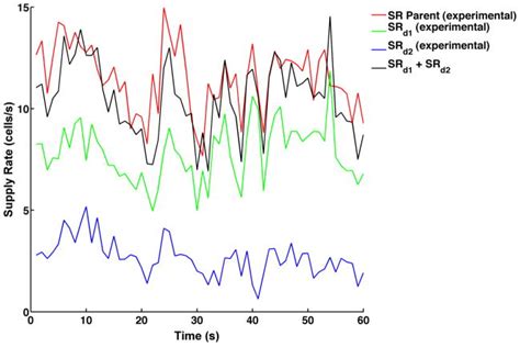 Microvascular Flow Modeling Using In Vivo Hemodynamic Measurements In Reconstructed 3d Capillary