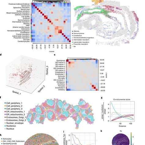 Pdf Squidpy A Scalable Framework For Spatial Omics Analysis