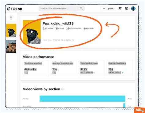 TikTok Analytics Track Analyze And Trend IURL