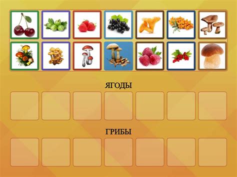 Собери ягоды и грибы - Group sort
