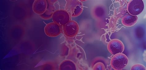 Treating Persistent Methicillin Susceptible Staphylococcus Aureus Mssa Bacteremia Contagion Live