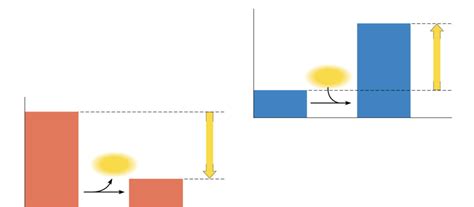 Bio Chapter 8 Test Diagram Quizlet