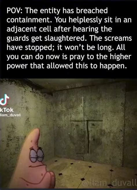 Pov The Entity Has Breached Containment You Helplessly Sit In An