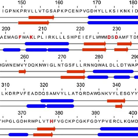 Secondary Structure Alignment For The Xxt2 Protein Sequence Obtained