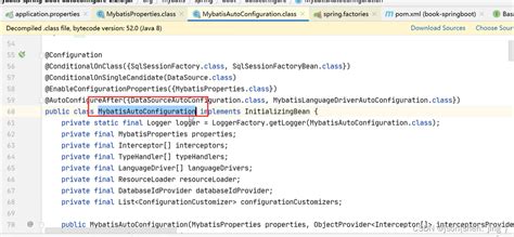 11 30 springboot tomcat embed core csdn博客