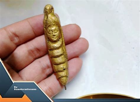 Inilah Keistimewaan Wesi Kuning Kepompong Emas Yang Melindungi