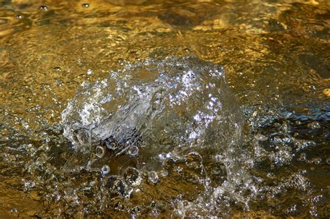 물 액체 튀김 Pixabay의 무료 사진 Pixabay