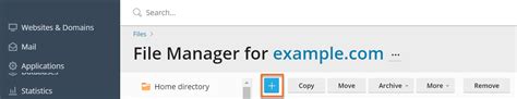 Plesk File Manager Overview