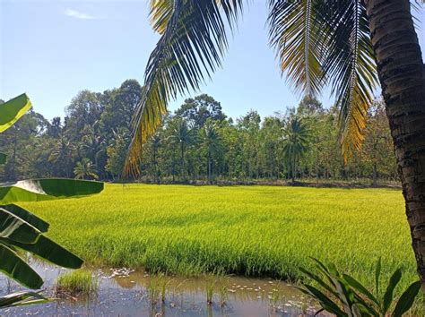 Mohammed Zakari On Linkedin Why Architecturing Your Code Matters