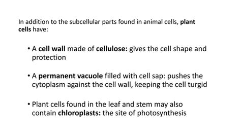 Cambridge IGCSE Biology Cells Structures Functions Pptx Biological Sciences Science