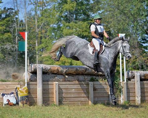 Dapple Grey Horse Jumping