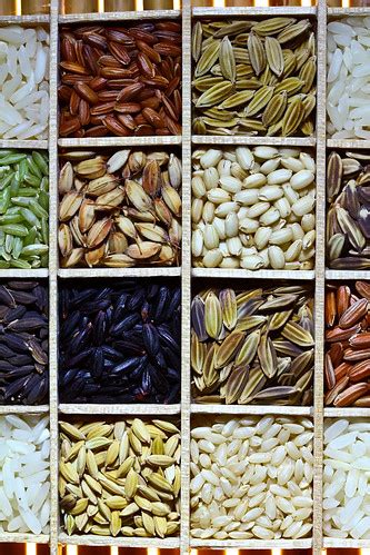 Rice Seed Variety Different Types Of Rice From The Collect… Flickr