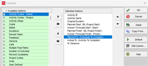 how to filter delayed activities in primavera planning engineer fze