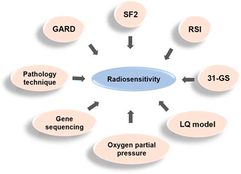 Common Prediction Methods For Radiosensitivity Download Scientific Diagram