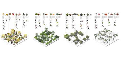 Discover 44 Vegetation Analysis And Landscape Ecology Diagram Ideas