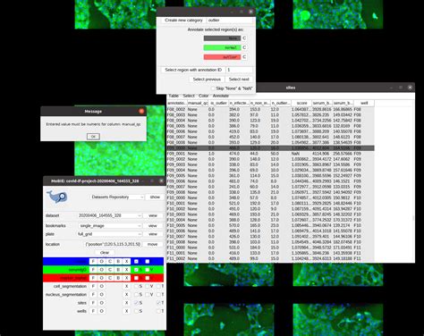 annotation mode bug for non numeric values · issue 682 · mobie mobie