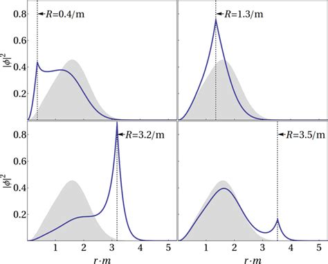 Plots Of φr 2 As A Function Of The Dimensionless Radial Coordinate