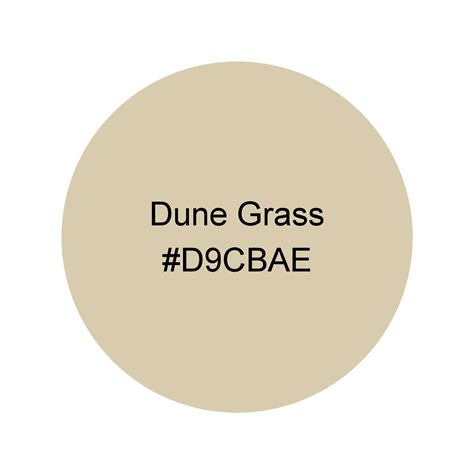 Dune Grass · Theme