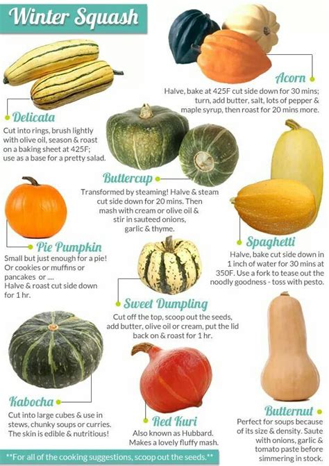 List Of Squash Types Acorn Squash Types Rlbgms