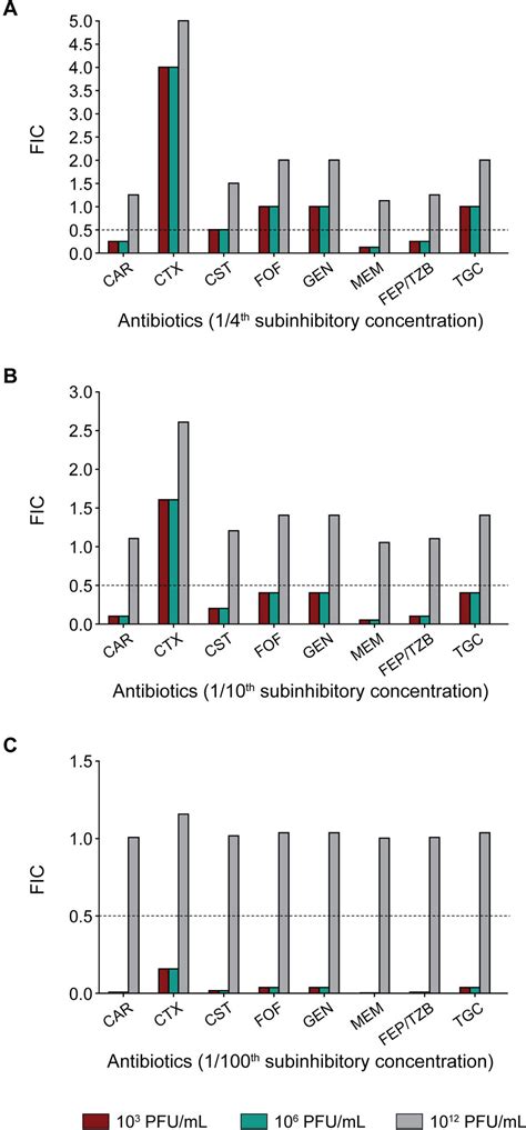 Synergistic Effects Of Phage Antibiotic Combinations Against Citrobacter Amalonaticus Acs