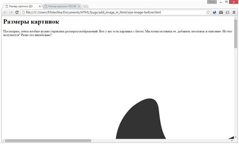 html Как добавить картинку и уменьшить размер Жизнь это движение