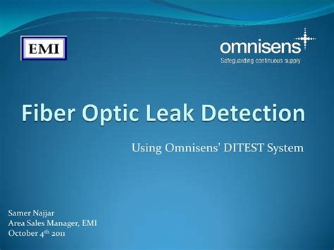 Pipeline Leak Detection Fiber Optic At Camille Martinez Blog