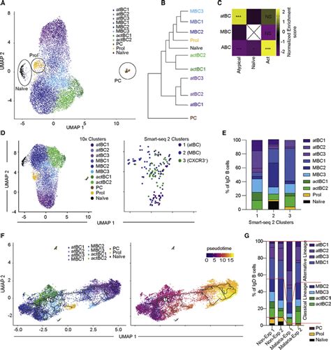 High Throughput Single Cell Analysis Reveals The Full Diversity Of Download Scientific Diagram