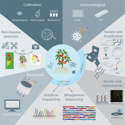 Which Controls To Use In Elisa Assays Enzo Life Sciences