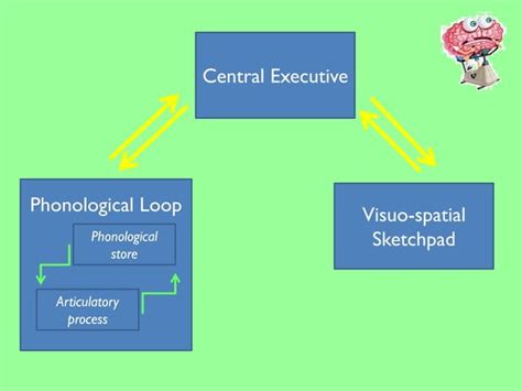 working memory model pdf
