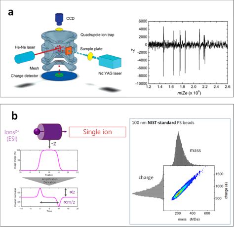 Various Implementations Of Single Particle Mass Spectrometry Using