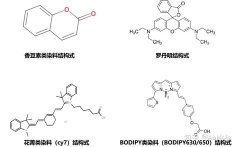 Abmole 荧光染料：点亮您的科研成功之路 知乎