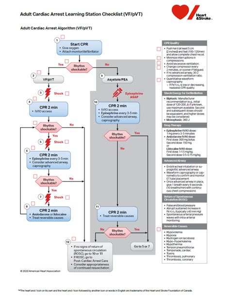 Adult Cardiac Arrest Acls Algorithm Complete Guide For Emergency