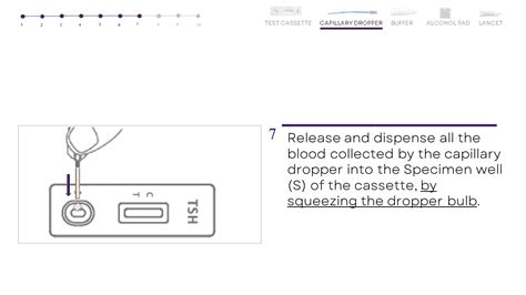Silex Underactive Thyroid