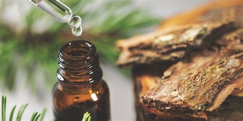 The Right Essential Oils For The Sauna Tips And Top Oils
